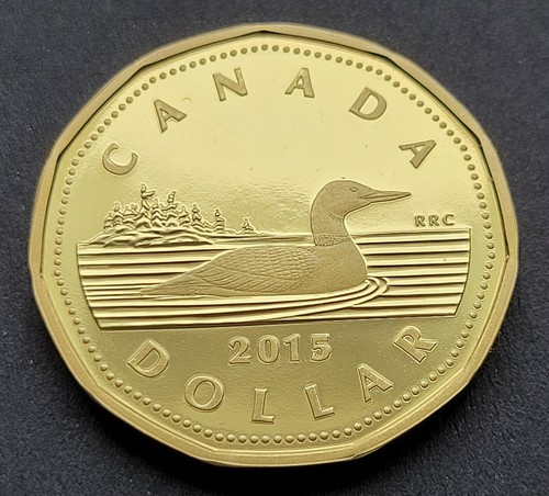 CANADA LOONIE 2015 *** ULTRA HEAVY CAMEO *** PROOF FINISH STEEL *** | eBay