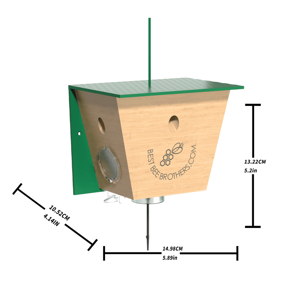 Best Bee Brothers Carpenter Bee Trap: Internal Turbo Funnel, Large ...