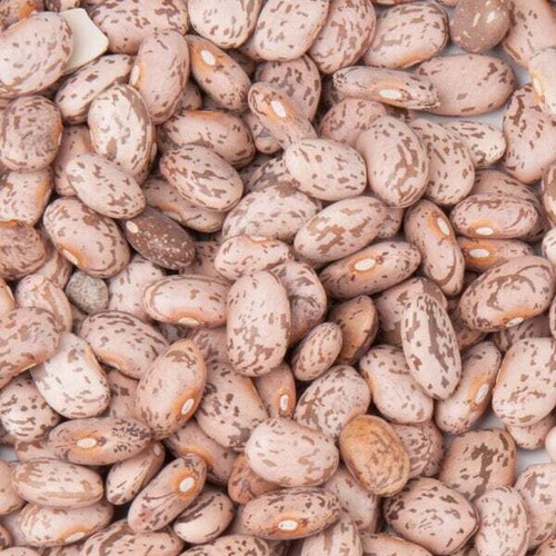Dry Bulk Pinto 5 Pounds Certified Kosher & Non-GMO | eBay