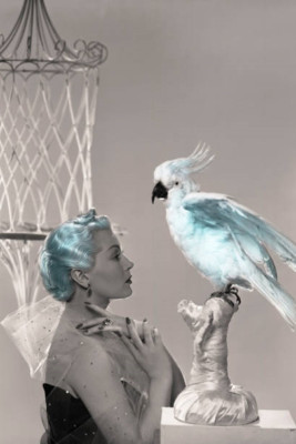 Lana Turner in a profile portrait for the 1950 George Cukor movie - 4x6 ...