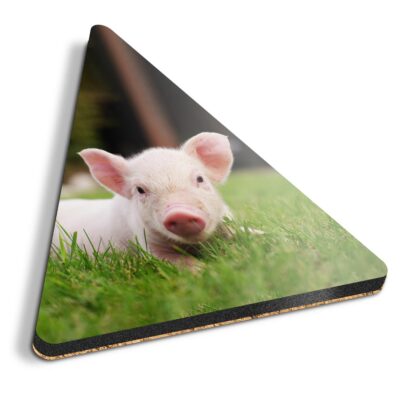 1x Triangle Coaster - Cute Pink Baby Pig Piglet Farm Animal #8132 | eBay UK