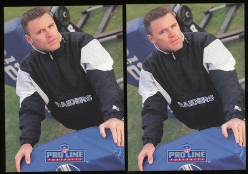 1991 Pro Line Portraits Howie Long Card #13 HOF | eBay