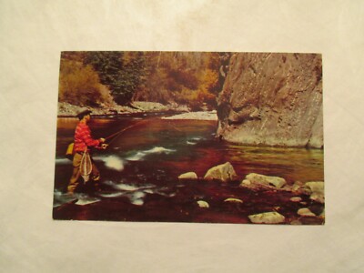 Fishing Postcard Fly Casting | eBay