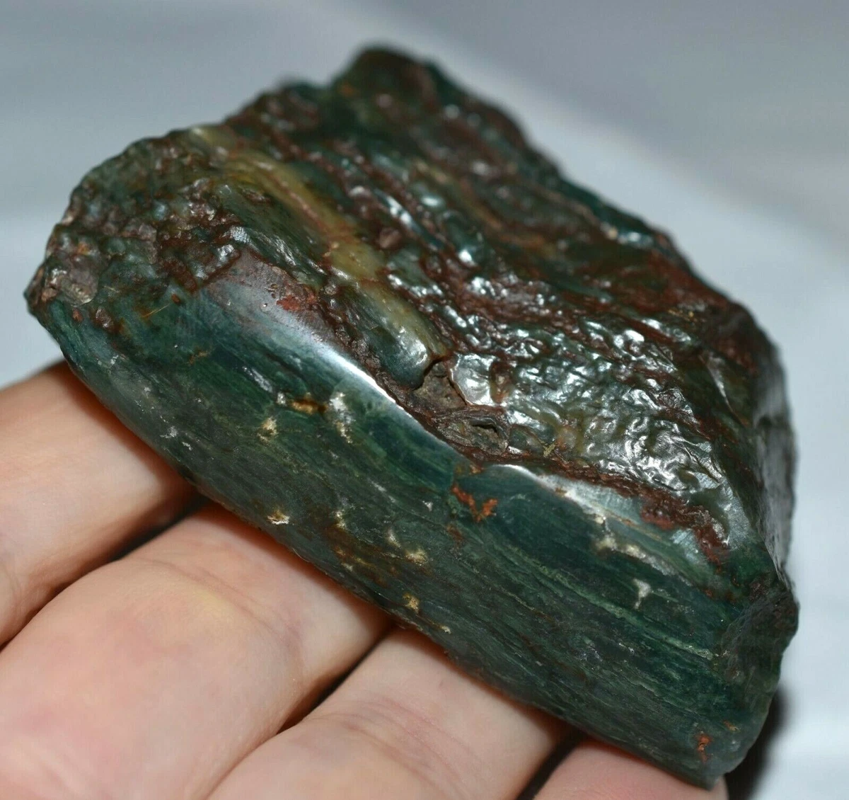 Green Petrified Wood Oregon