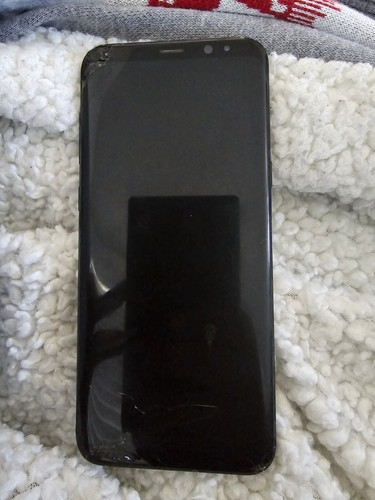 Samsung Galaxy S8 DUOS SM-G955FD - 64GB - Artic Silver Smartphone | eBay