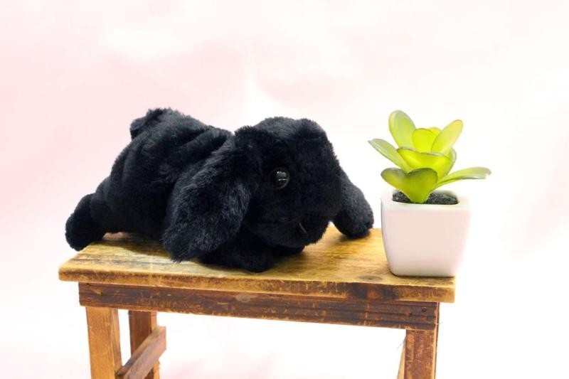 Take-Off Rabbit Maron Holland Lop Black Plush Toy From JAPAN | eBay