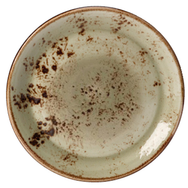 Steelite Craft Coupe Plate Green 28cm - 11 Inch Rustic Ceramic Dinner ...