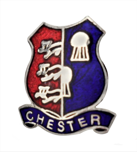 Chester Crest Small Pin Badge | eBay UK