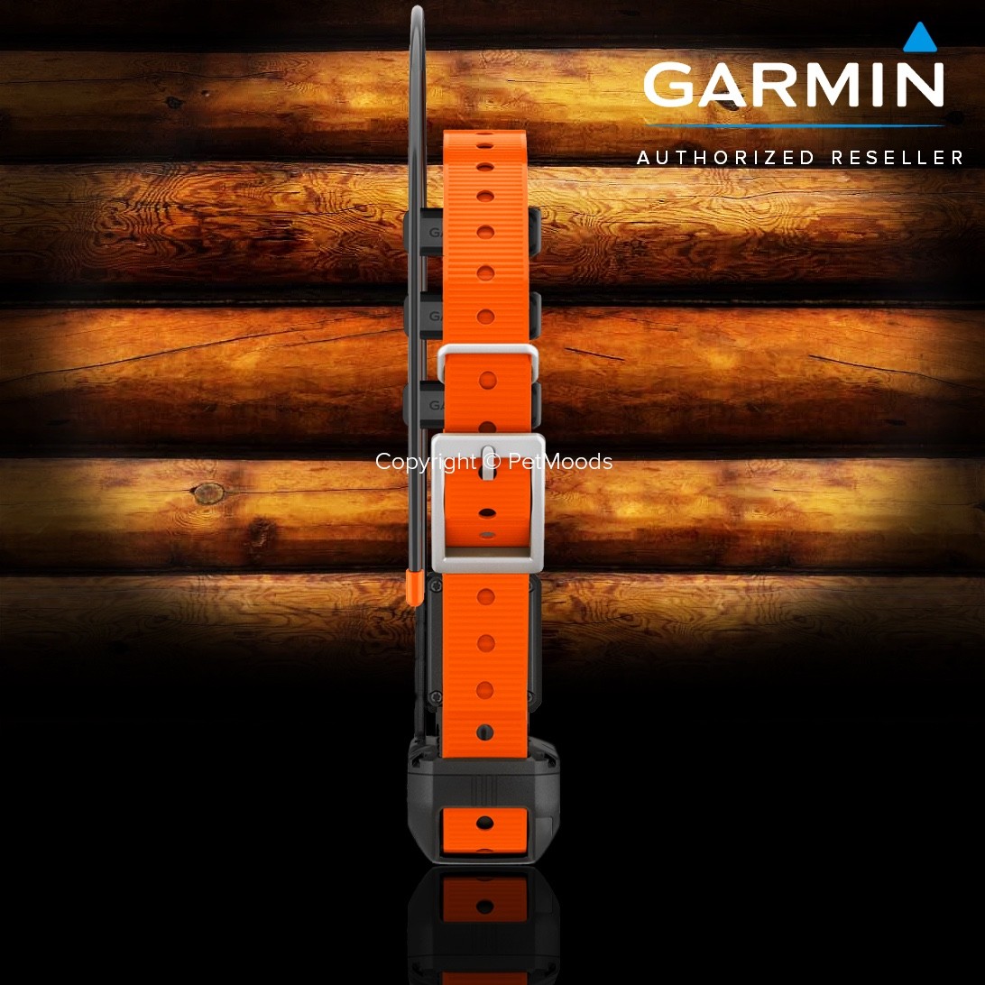 Garmin TT25 Mini Tracking Training Collar with Zero Length GPS Band ...