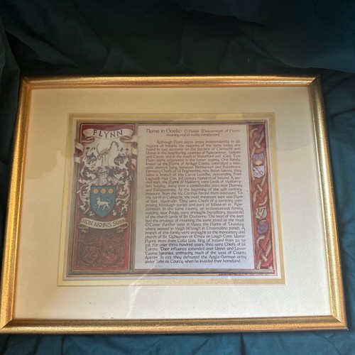 Flynn Family Crest Framed Art - Stunning Heraldic Display! | eBay