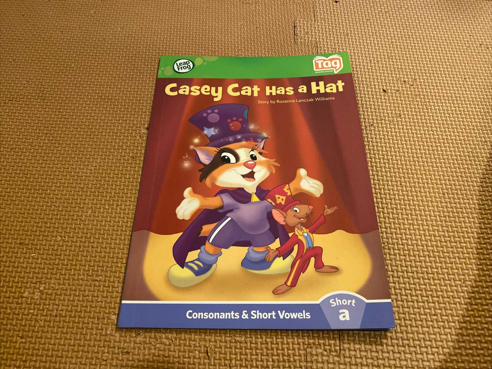 LeapFrog Tag Pen LeapReader LEARN TO READ Book — Casey Cat Has A Hat ...