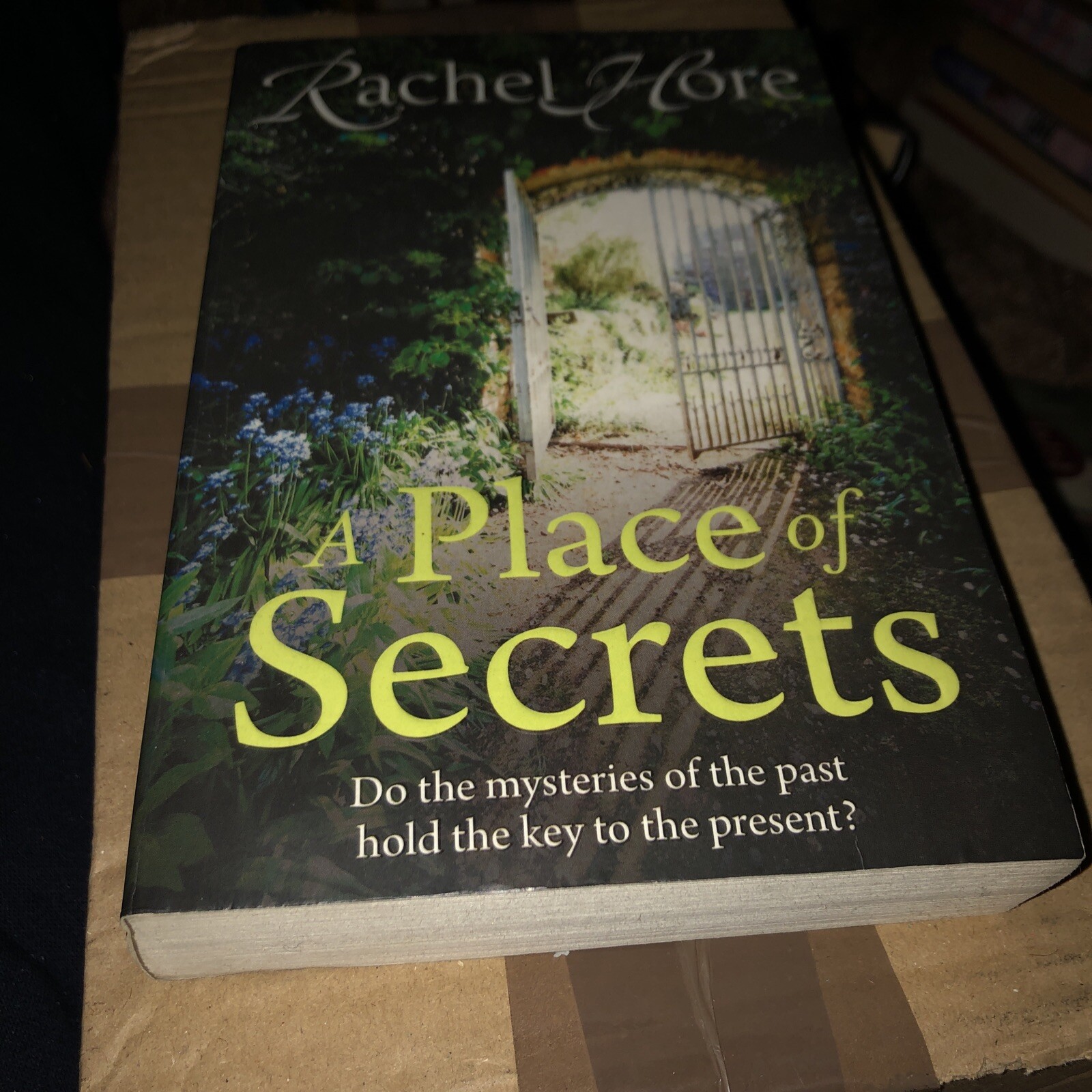A Place of Secrets by Rachel Hore (Paperback, 2010) for sale online | eBay