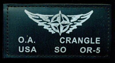US Army NATO OR-5 Pilot Wing Leather Nametag Patch KP-12 | eBay