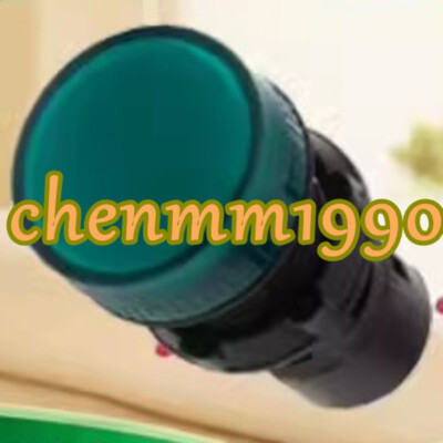 1PC NEW Indicator 220V LED indicator XB2BVM3LC #YX | eBay