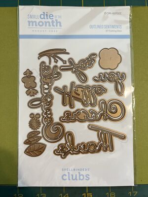 Spellbinders Outlined Sentiments DOM-AUG22 | eBay