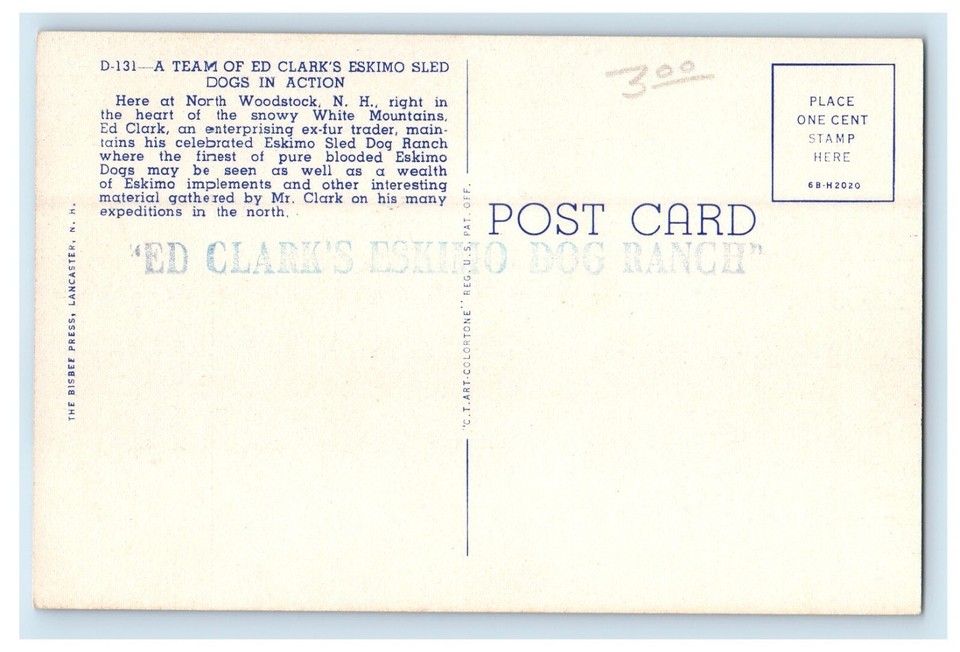 A Team Of Ed Clark's Eskimo Sled Dogs Snow Winter North Woodstock NH ...