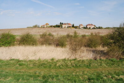 Photo 6x4 Rushes & reeds near Motney Hill Lower Rainham c2009 | eBay UK