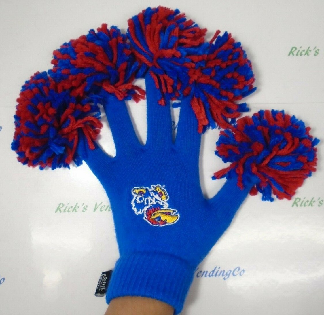 Wincraft Womens NCAA Spirit Fingerz Pom Pom Gloves Team Knit | eBay