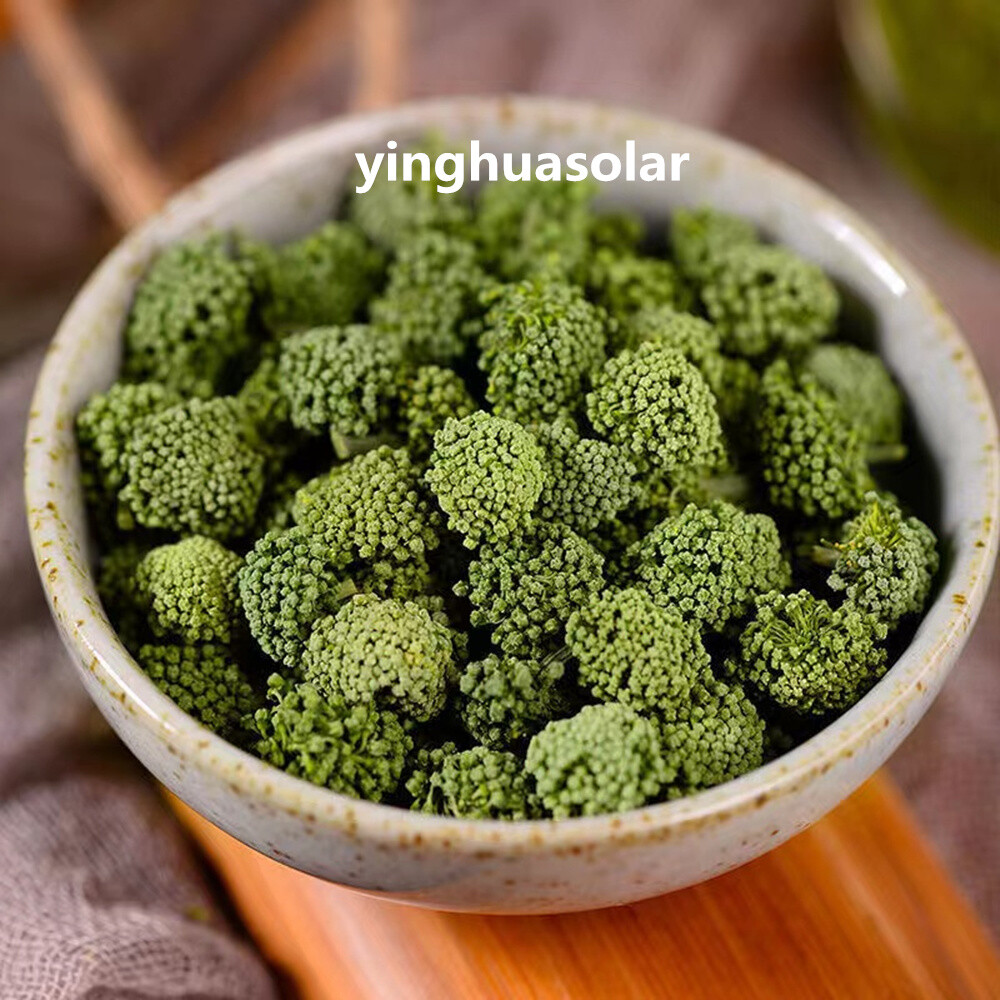 Tian Qi Flower Benefits | Best Flower Site