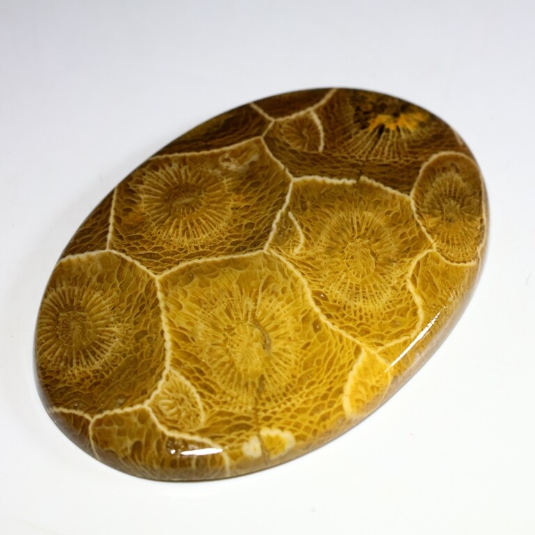 WHOLESALE LOT NATURAL HEXAGONARIA PETOSKY CORAL OVAL CABOCHON GEMSTONE ...