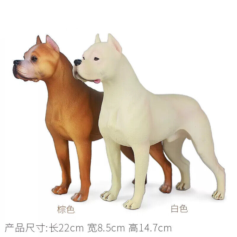 1/6 Scale Realistic Dogo Dog Statue Resin Animal Model Toys Figure ...