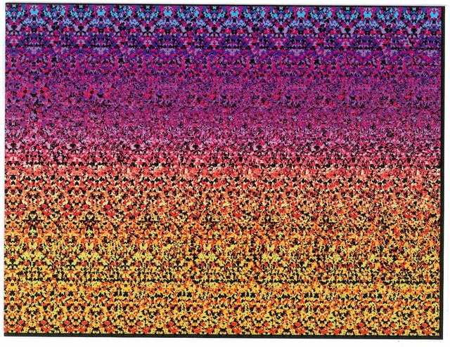 Poster 3D Eye Magic Dolphins Hidden Illusion African Safari Animals ...