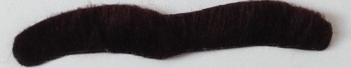 Funny fake eyebrows, costume eyebrows, monobrow, unibrow, zoom fancy ...