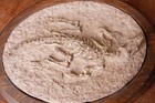 Fossil Skeleton, China | eBay
