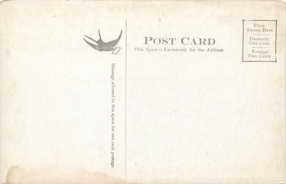 A View Of Duncan Lake, Ossipee, New Hampshire NH | eBay