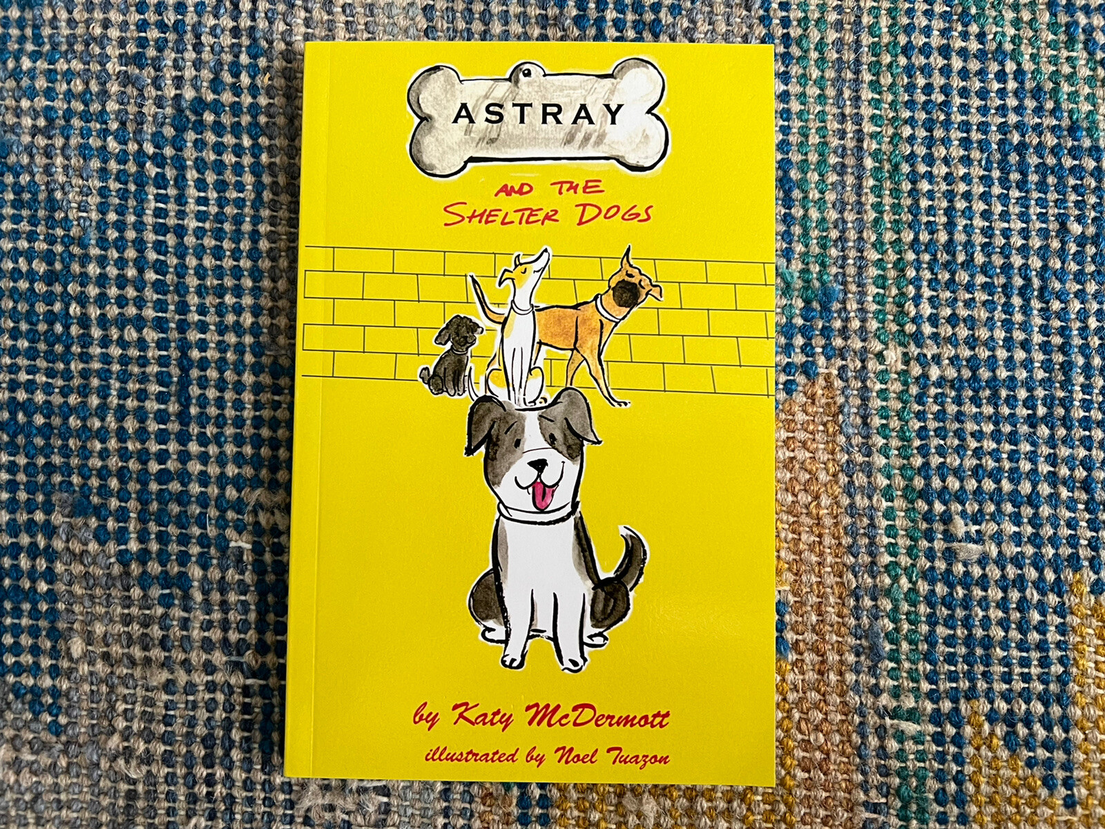 ASTRAY AND THE SHELTER DOGS (VOLUME 1) By Katy Mcdermott, SIGNED, NEW ...