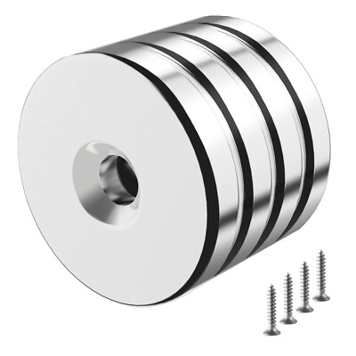 Wukong Magnets Strong 4 Piece 30x5 mm Magnets with Hole Sink Head Pot ...