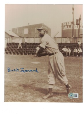 Buck Leonard HOF Negro Leagues Signed 8x10 Baseball HOF Print Beckett ...