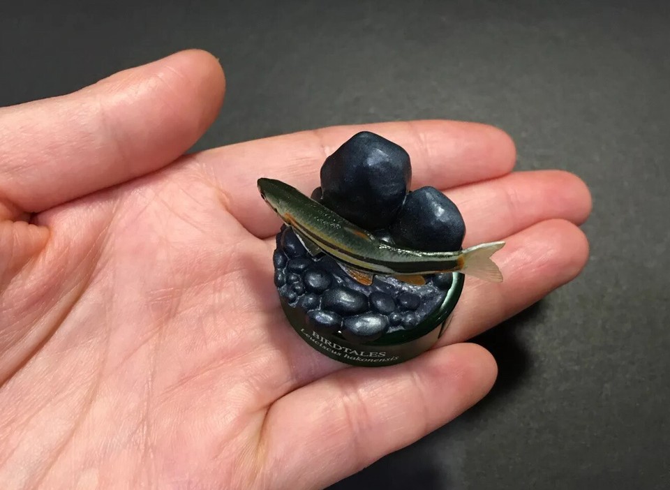 RARE Kaiyodo Birdtales Japanese Dace Fresh Water Fish Figure | eBay