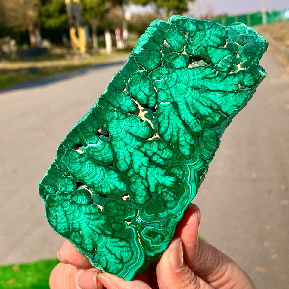 323G Natural glossy Malachite transparent cluster rough mineral sample ...