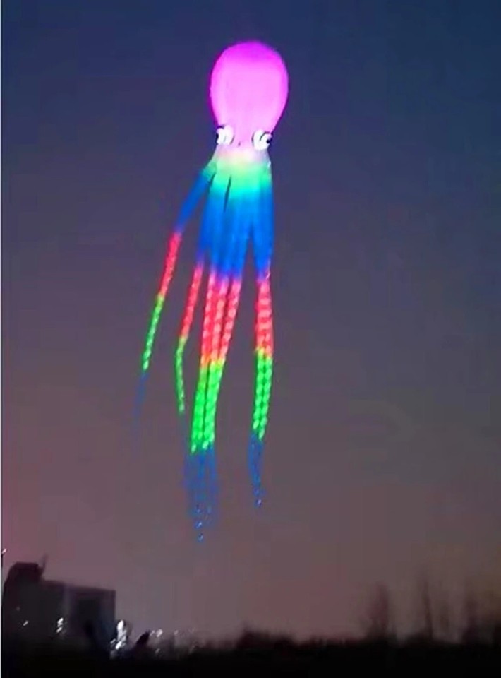 20m Led Octopus Kites Flying Trilobites Kite for Adults String Line ...