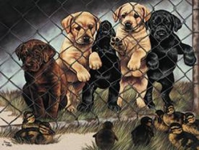 Labrador Puppies Jail birds Vintage TIN SIGN Metal Lodge Cabin Poster ...