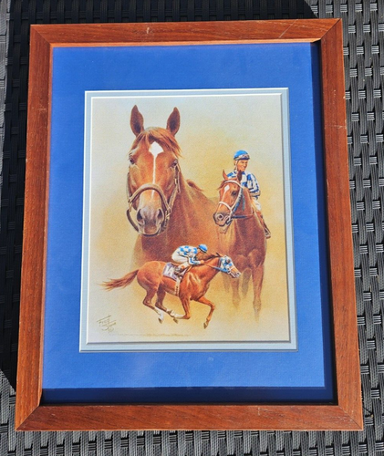 Professionally Wood Framed Double Matted Fred Stone Secretariat Print ...