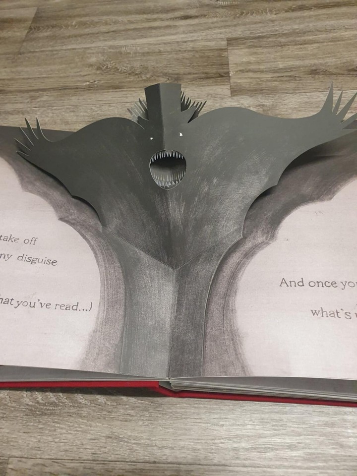 THE BABADOOK POP-UP BOOK FIRST EDITION. With Original box. | eBay