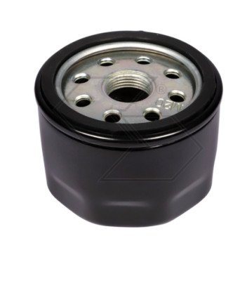 1072175107 Oil Filter Tractor LOMBARDINI LDW 502 FOCS Size 78X58 | eBay