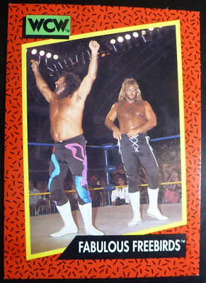 1991 Impel WCW Fabulous Freebirds Michael P.S. Hayes #127, WWE, WWF ...