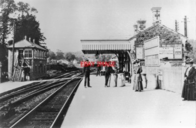 PHOTO CAMERTON RAILWAY STATION. EDWARDIAN ERA | eBay UK