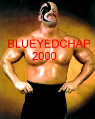 ROAD WARRIOR HAWK WRESTLER 8 X 10 WRESTLING PHOTO NWA AWA WCW WWF | eBay