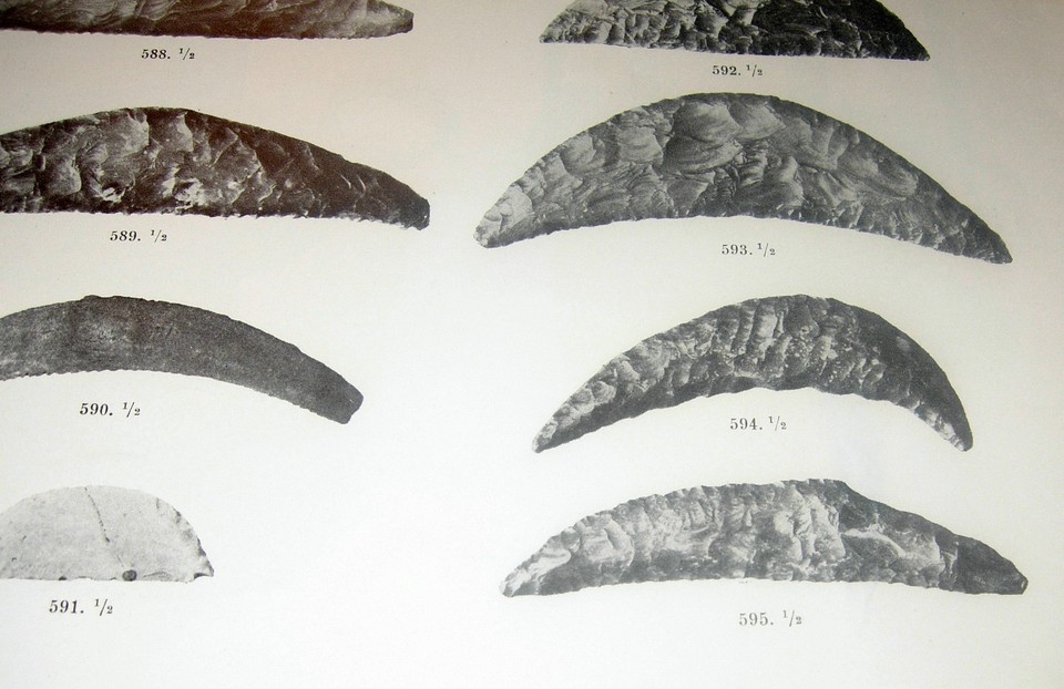 SICKLE, WITH NICE FLAKING. Super patina, DANISH STONE AGE, NEOLITHIC | eBay