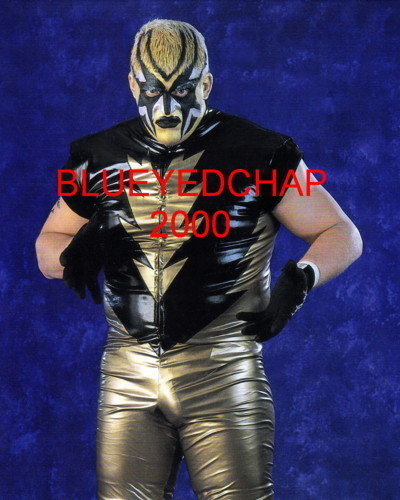 Gold Dust Wrestler Costume