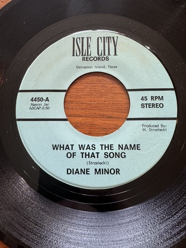 Diane Minor 45 What Was The Name Of That Song I Waited 7” Funk Soul ...