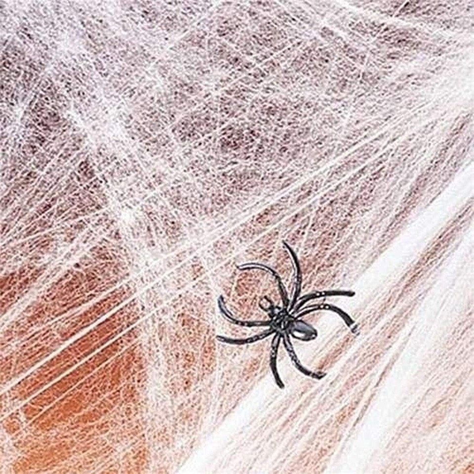 1 Bag of Stretchable Spider Web Webbing Cobweb Halloween Prop + 2 Fake ...