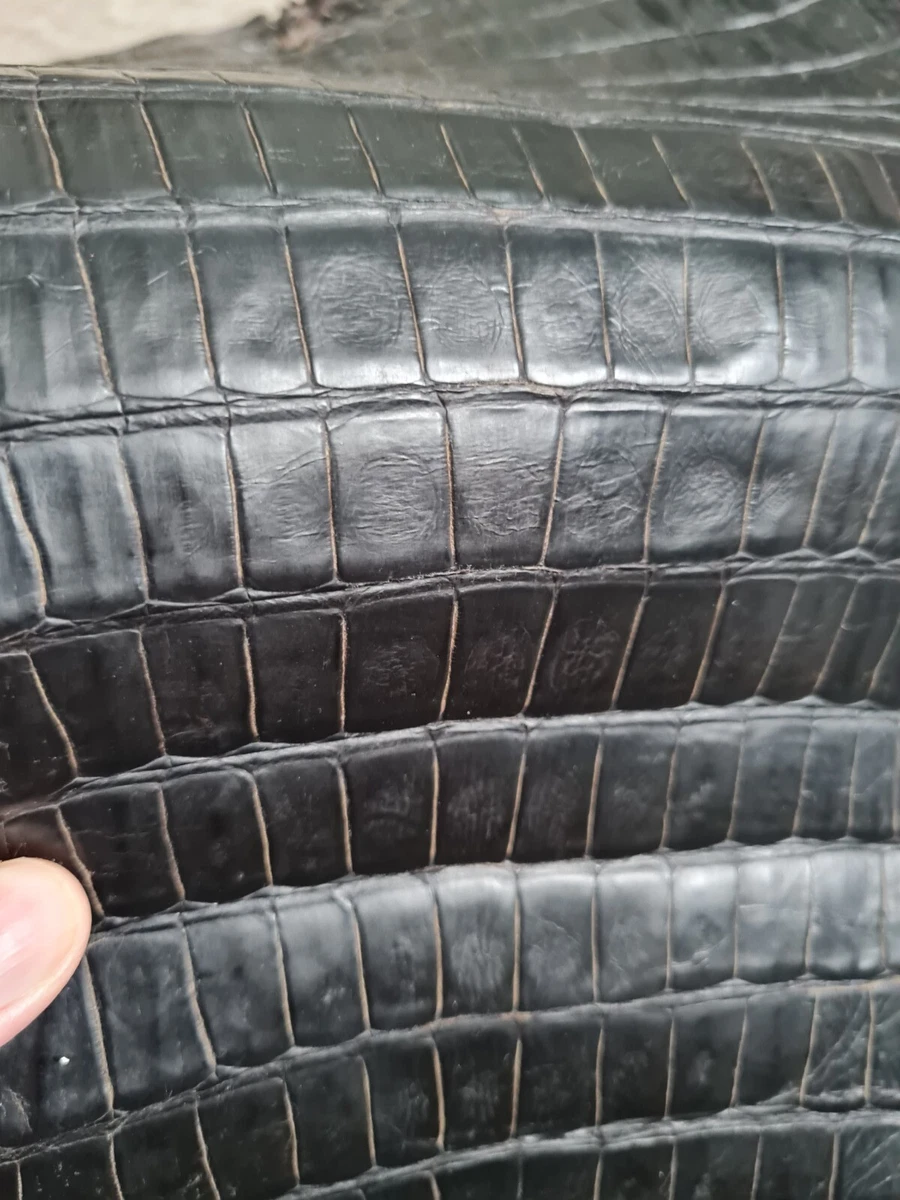 Black Crocodile Texture