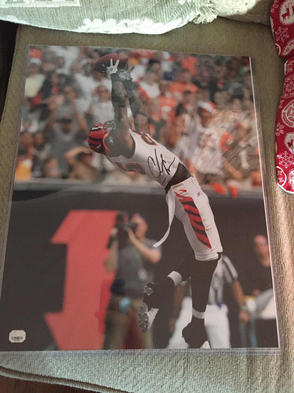 Chad Ochocinco Johnson Cincinnati Bengals Signed 16 X 20 Photo ...