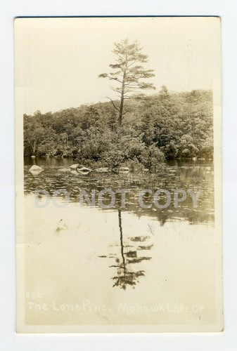 Mohawk Pond CT, The Lone Pine, 1934 RPPC postcard, near Litchfield | eBay
