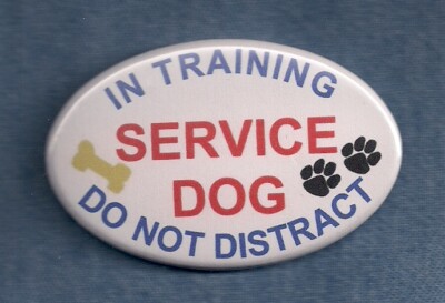 SERVICE DOG IN TRAINING DO NOT DISTRACT - service dog vest button w/pin ...